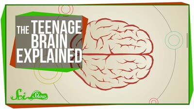 The Teenage Brain Explained - BYU-Idaho