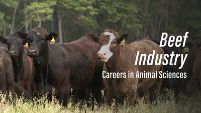 Beef Industry l Careers in Animal Sciences - BYU-Idaho
