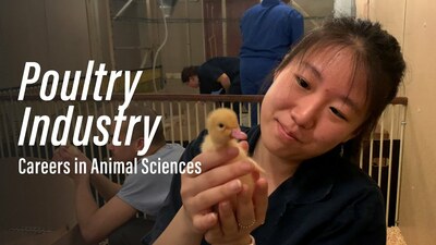 Poultry Industry l Careers in Animal Sciences - BYU-Idaho