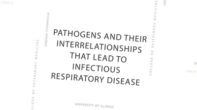 Pathogens and Their Interrelationships that Lead to Infectious ...