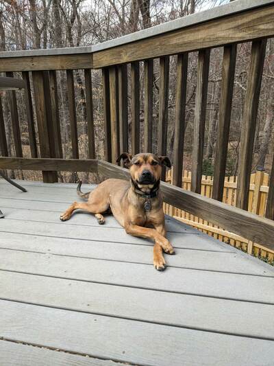 Video Recording - Tue Mar 07 2023 11:09:57 GMT-0500 (Eastern Standard Time) - VCU Kaltura MediaSpace