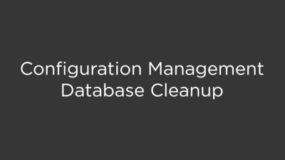 Configuration Management Database Cleanup - Liberty University