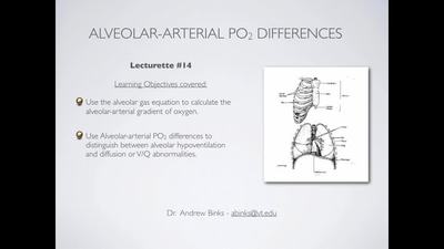Alveolar Gas Equation and the Alveolar-Arterial PO2 difference (Ch14) - Virginia Tech - Video