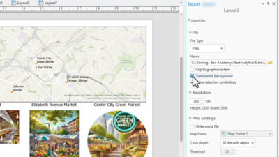The Transparent Background Property is Disabled When Exporting a Layout to PNG in ArcGIS Pro ...