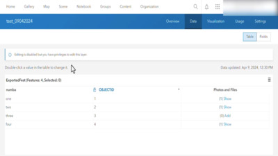Bold, underline, and italicize specific words of a dynamic text in the Text widget in ArcGIS ...