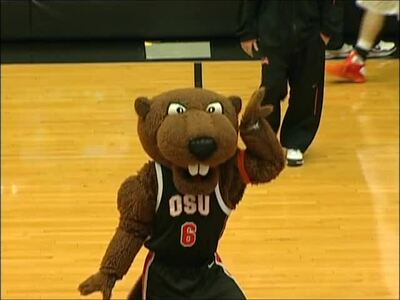 Oregon State University men's basketball footage, December 2008 - January 2009 - OSU MediaSpace