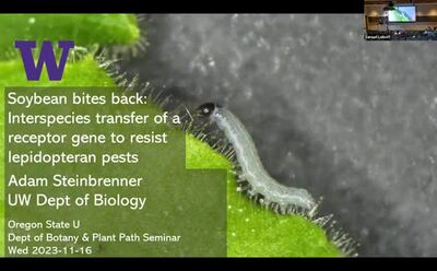 BPP Seminar Fall 2023: Adam Steinbrenner - OSU MediaSpace