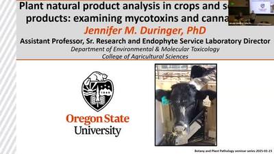 BPP Winter 2025 Seminar Series: Jennifer Duringer - OSU MediaSpace