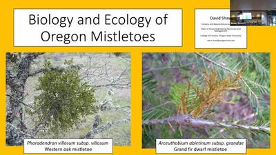 BPP Winter 2024: David Shaw - OSU MediaSpace