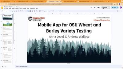 OSU Wheat And Barley Capstone Progress Report 2 - OSU MediaSpace
