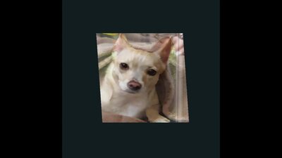 CS457 Project 5 - Image manipulation effects - OSU MediaSpace