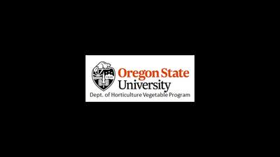 Tomato Grafting Demonstration - OSU MediaSpace