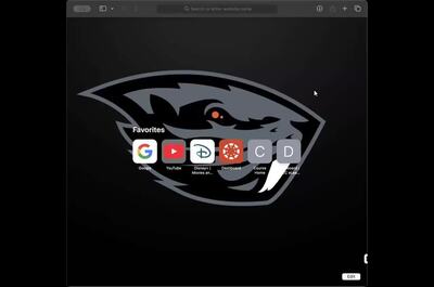 Clip of Bastida, Evan's Zoom Meeting - OSU MediaSpace