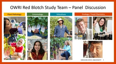 Grape Red Blotch Disease Expert Panel Discussion Session - OSU MediaSpace