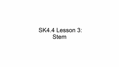 SK4.4 L3 Stems - Oneida Herkimer Madison BOCES Support Services