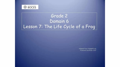 Lesson 7 Read Aloud Video: The Life Cycle Of A Frog - Oneida Herkimer ...