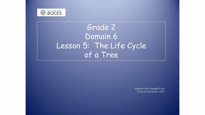 Lesson 5 Read Aloud Video: The Life Cycle Of A Tree - Oneida Herkimer ...