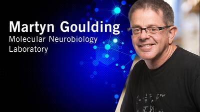 From Then to When | Meet Salk Scientists | Martyn Goulding - Salk Institute