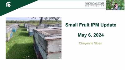 SouthMichiganFruitIPMUpdate05062024 - MSU MediaSpace