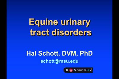 VM 568-Equine urinary tract disorders - MSU MediaSpace