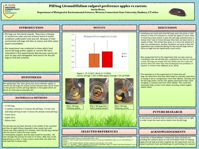 Moran_Poster - MediaSpace@WCSU