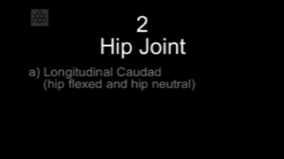 Manual Therapy Hip Joint Longitudinal Caudad - mmutube