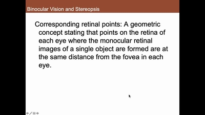 Binocular Vision and Stereopsis - BYU-Idaho