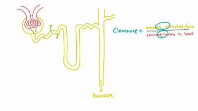 Introducing Clearance - An Intuitive and Mathematical Definition - BYU ...