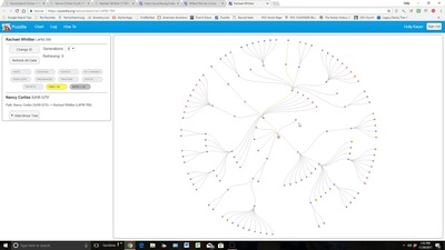 Finding Temple Work Using Puzzilla (by Holly Kauer) - BYU-Idaho