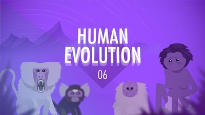 Human Evolution: Crash Course Big History #6 - BYU-Idaho