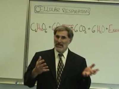 Professor Fink explains CELLULAR RESPIRATION (Part 1); ATP, NAD - BYU-Idaho