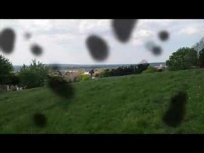 Diabetic Retinopathy Simulation - Park - BYU-Idaho