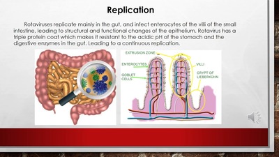 Rotavirus Presentation Project - BYU-Idaho