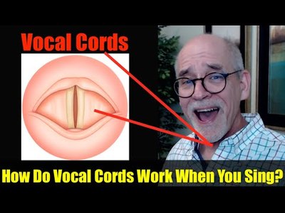 How Do Vocal Cords Work When You Sing? - BYU-Idaho