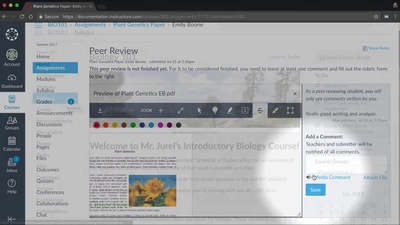 Peer Reviews Canvas Tutorial Video Series - BYU-Idaho