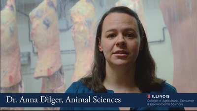 Anna Dilger - Department of Animal Sciences,University of Illinois at ...