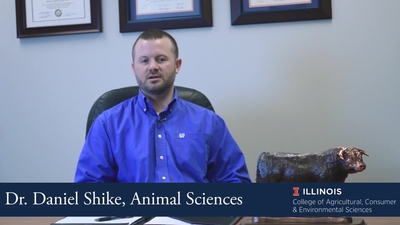Dan Shike - Department of Animal Sciences, University of Illinois at ...
