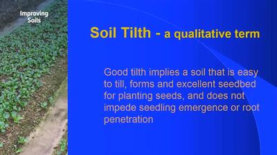 Soils 12 - Illinois Media Space