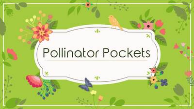 Pollinator Pockets - Illinois Media Space