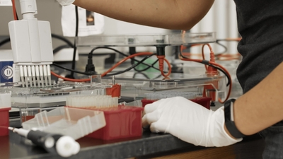 MCB - Preparation for a Career and Life - Illinois Media Space