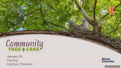 Tree Care Series 2025: Planting Improper Practices - Illinois Media Space