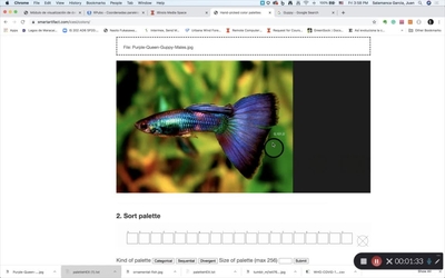 Custom Color palettes - Illinois Media Space