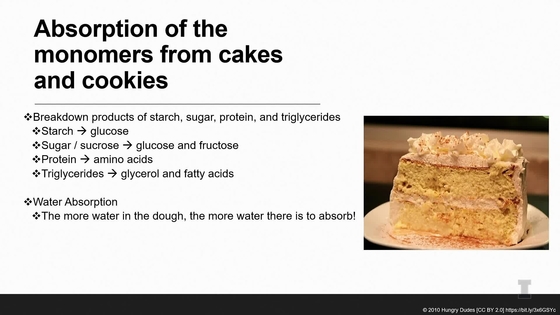 FSHN 101 - 12 - COOKIES vs CAKES - Illinois Media Space