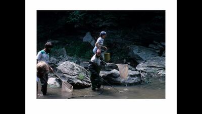 NRES 500 Spring 2018 - Ike Schlosser - Reflections on Jim Karr's Early ...