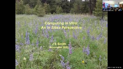 DLS - Jim Smith, "Computing in Vitro: an in Silico Perspective ...