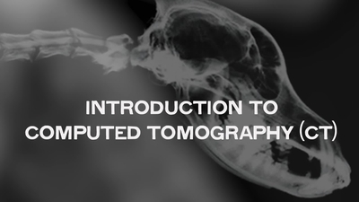 Introduction to Computed Tomography (CT) - Illinois Media Space