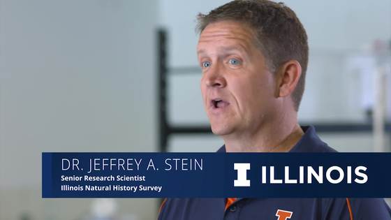 The Illinois Professional: Jeffrey Stein - Illinois Media Space
