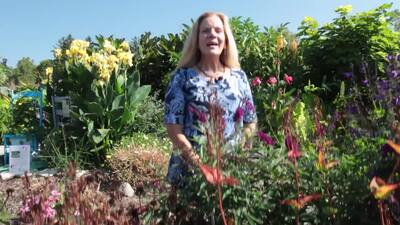 Master Gardener Online Training Welcome - Illinois Media Space