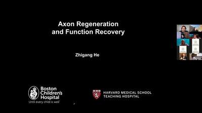 NEUR 520, Section SEM - "Axon regeneration and functional recovery ...