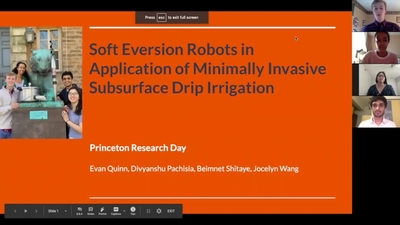 Soft Eversion Robots in Application of Minimally Invasive Subsurface ...